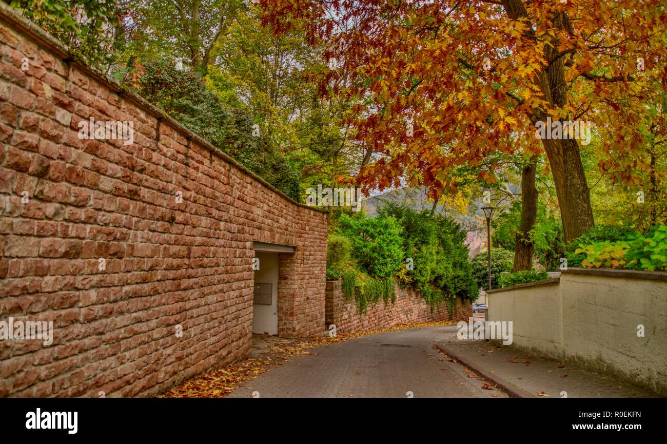 Urban street scene in autumn hi-res stock photography and images - Alamy