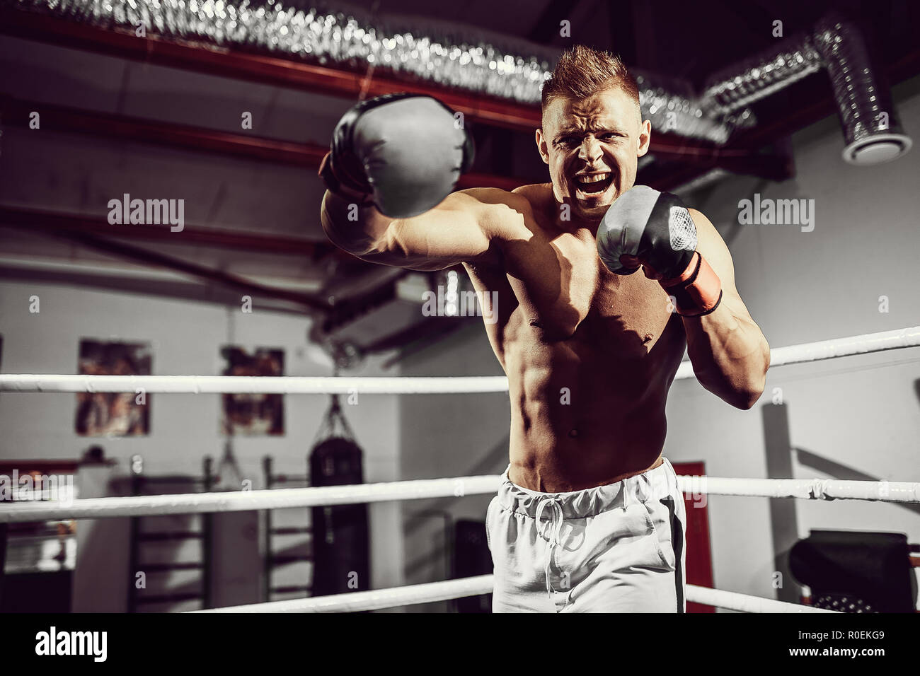 Boxer. Confident young boxer punching, training on the boxing ring ... Boxer. Confident young boxer punching, training on the boxing ring ...