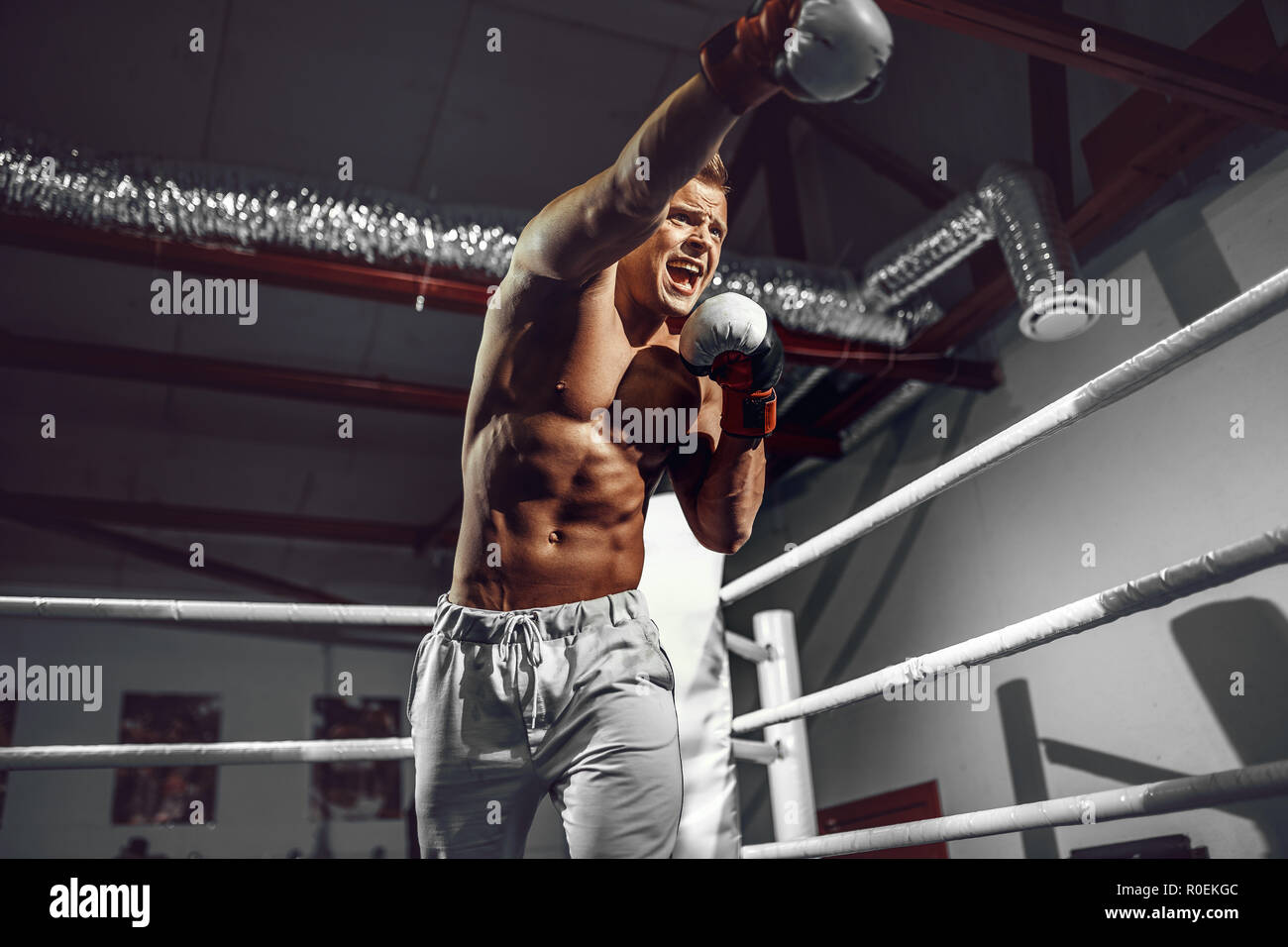 Boxer. Confident young boxer punching, training on the boxing ring ...