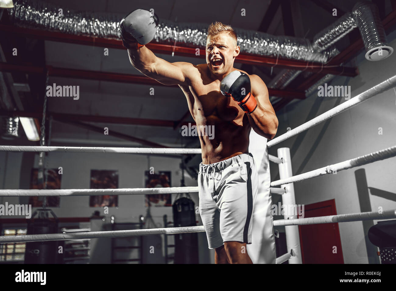 Boxer. Confident young boxer punching, training on the boxing ring ...