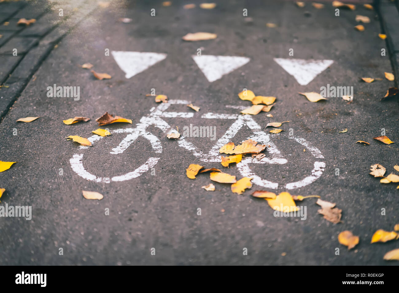Street autumn path in the city, leaf fall, leaves on the sidewalk ...