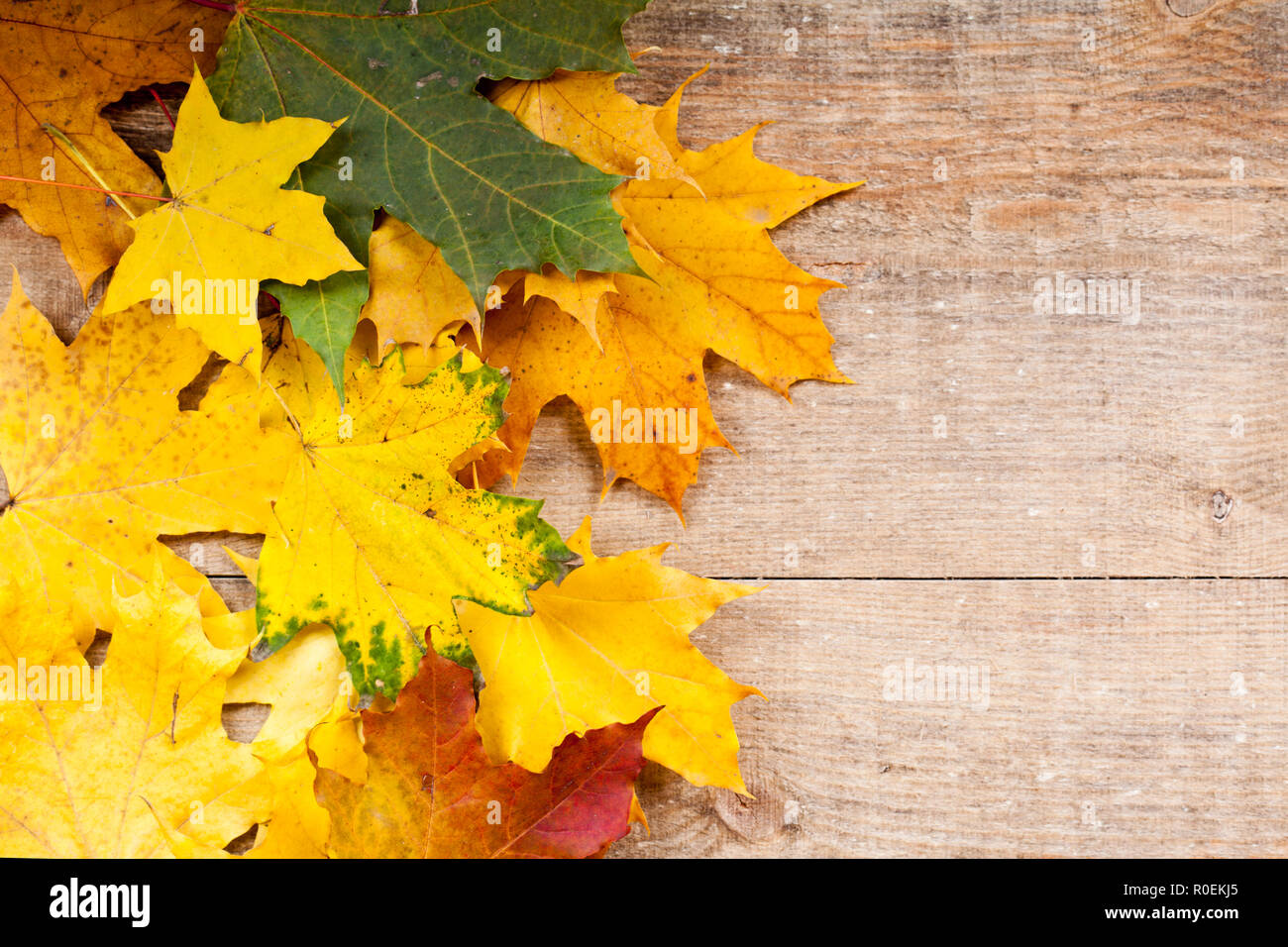 autumn leaves over wooden background with copy space Stock Photo - Alamy