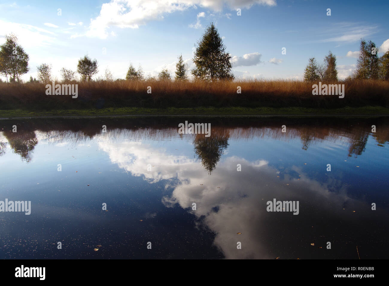Sunset over the moor at Bargerveen, the Netherlands Stock Photo - Alamy