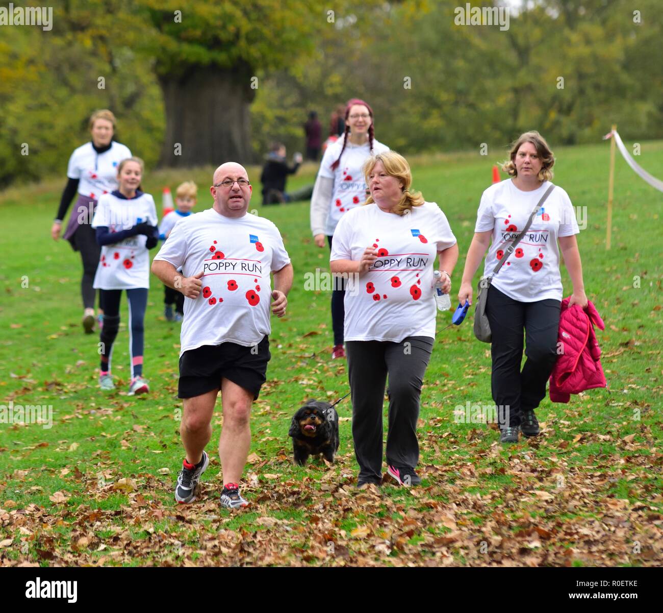 Nottingham, UK. 4th November 2018. The Royal British Legion Poppy Run ...
