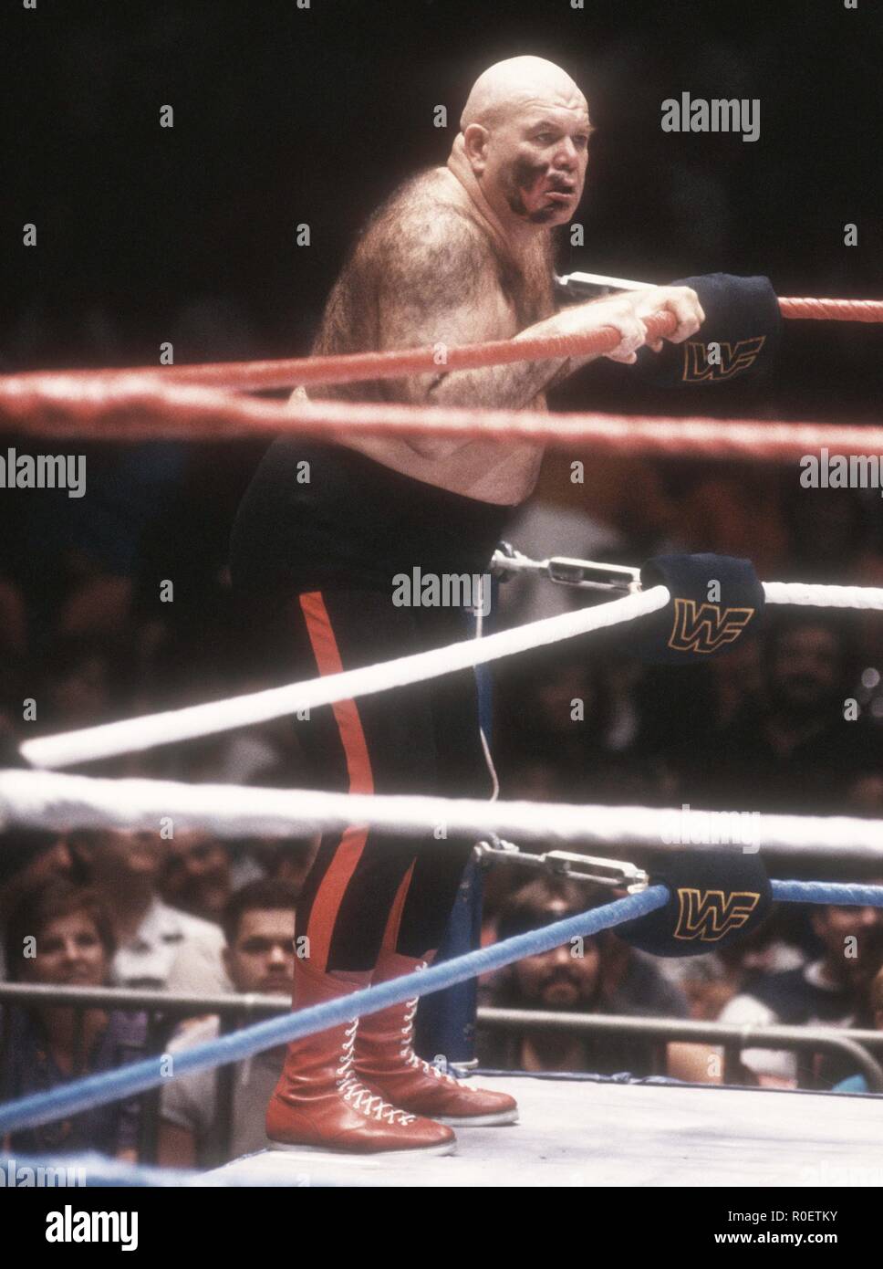 New York City, USA. 01st Jan, 2005. George Steele The Animal 1985 Photo ...