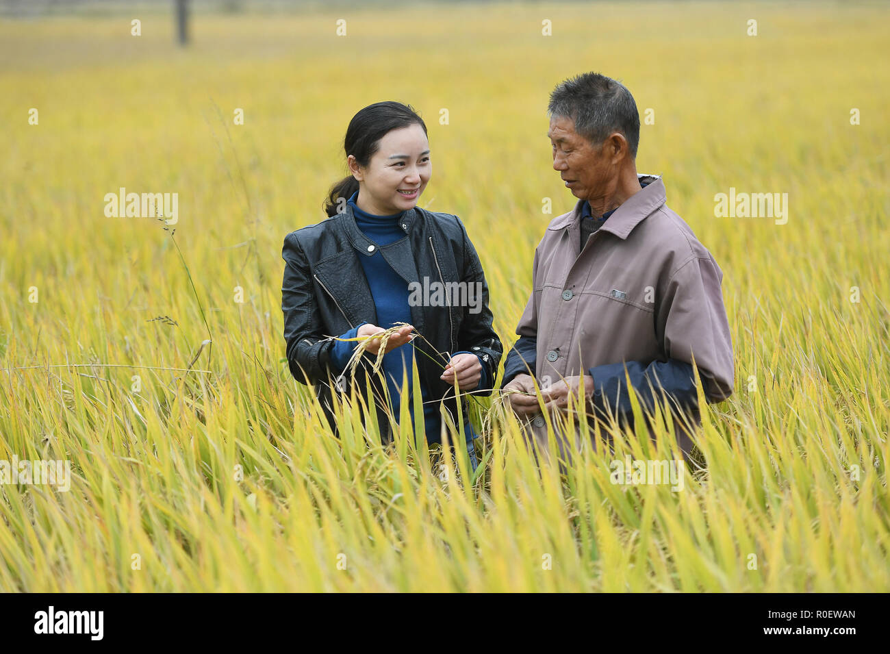 Farmer field school hi-res stock photography and images - Alamy