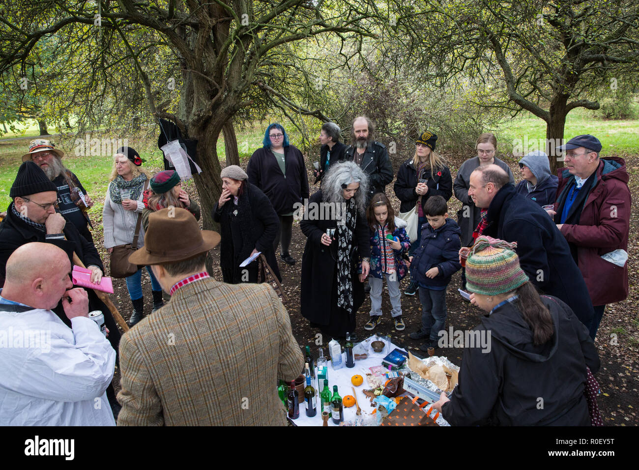 Druid grove hi-res stock photography and images - Alamy
