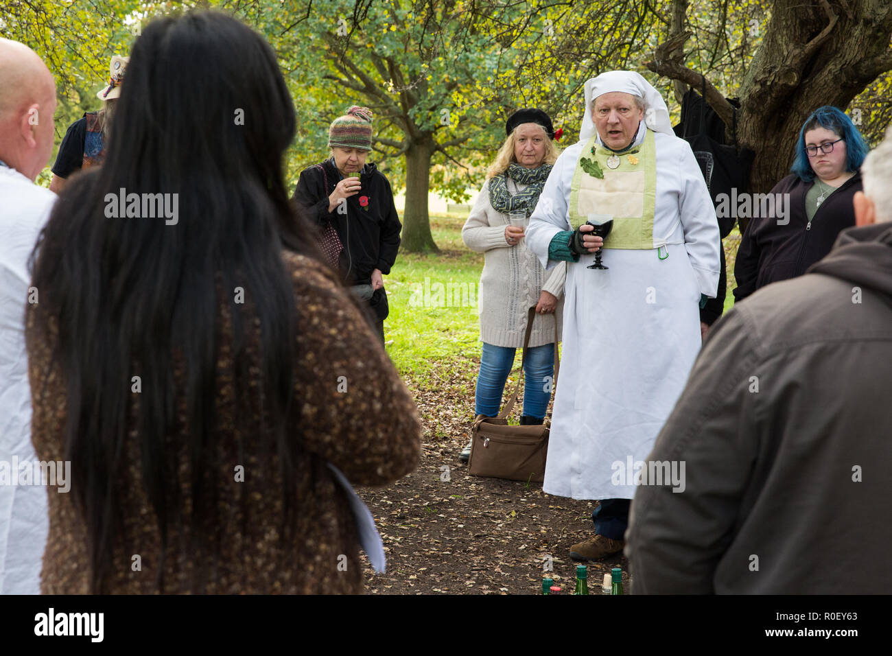 Druid grove hi-res stock photography and images - Alamy