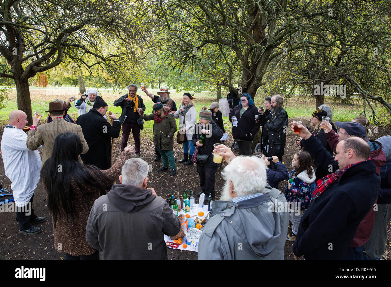 London, UK. 4th November, 2018. Druids from the Loose Association of ...