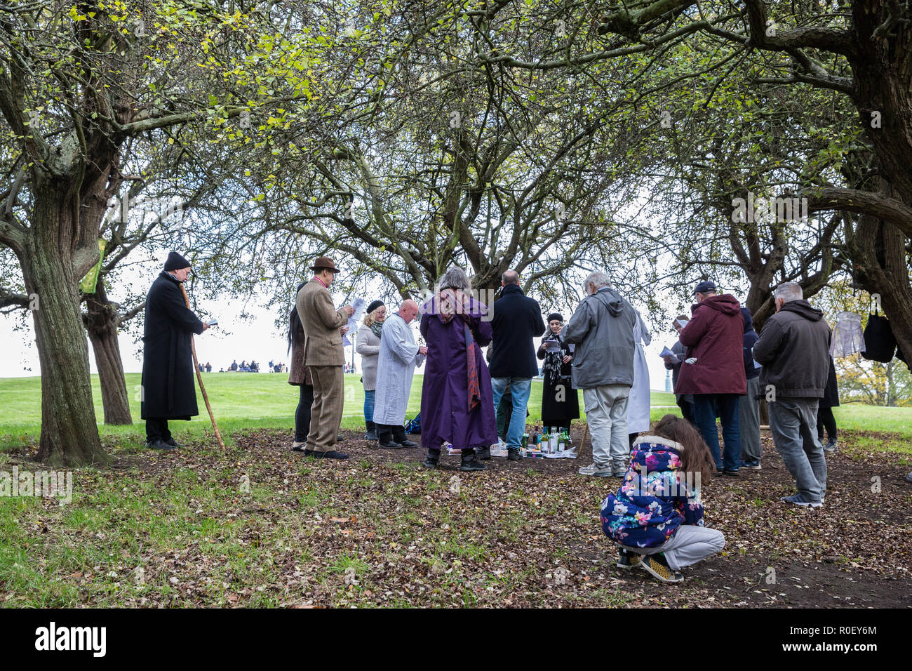 Celtic druid grove hi-res stock photography and images - Alamy