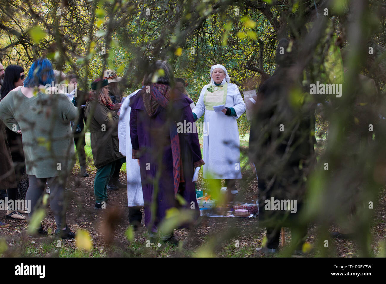 Druid grove hi-res stock photography and images - Alamy