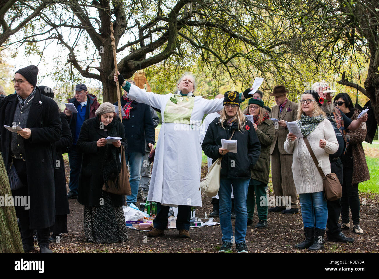 London, UK. 4th November, 2018. Druids from the Loose Association of ...