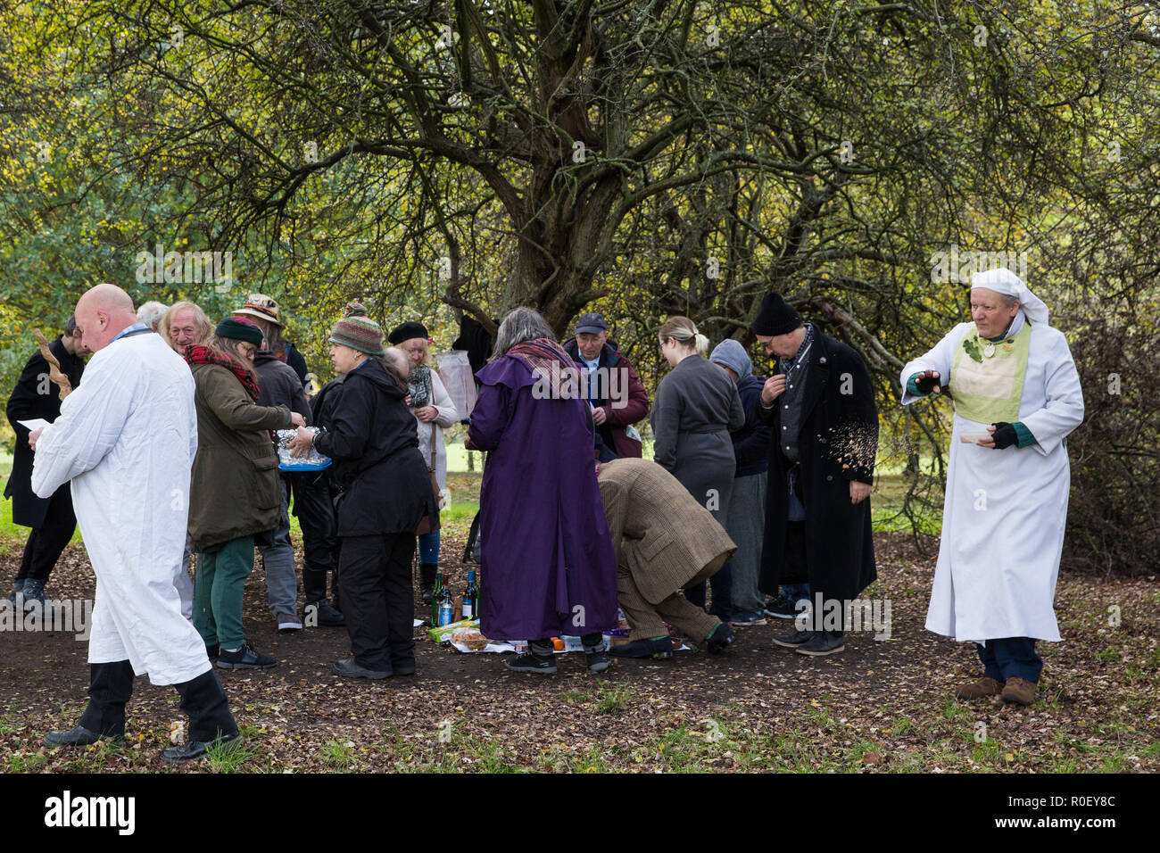Druid grove hi-res stock photography and images - Alamy