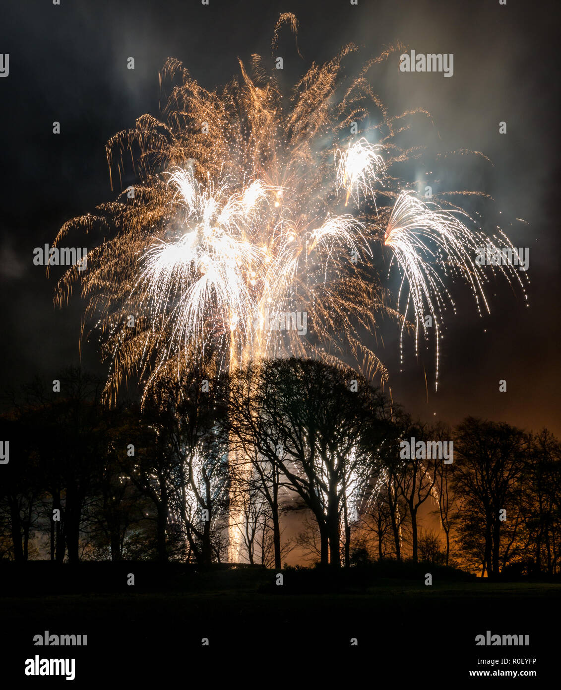 Aberlady, East Lothian, Scotland, United Kingdom. 4th November 2018 ...