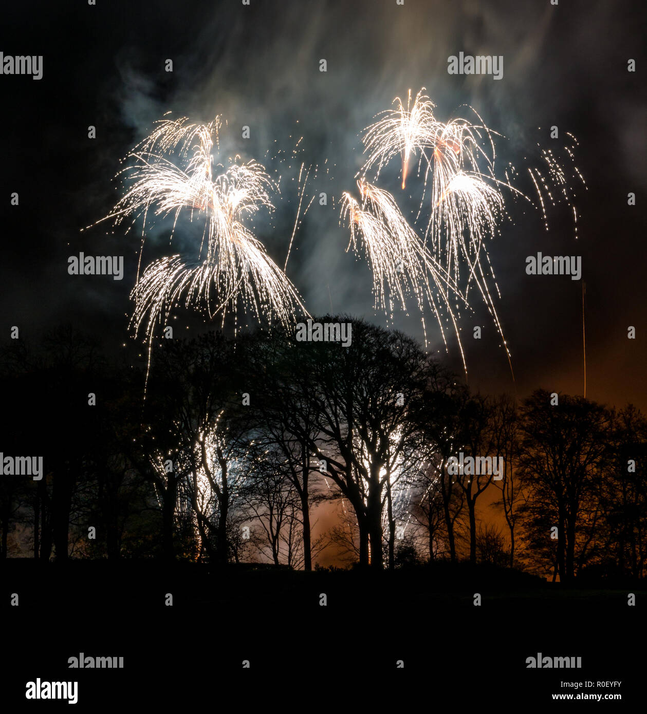 Aberlady, East Lothian, Scotland, United Kingdom. 4th November 2018 ...