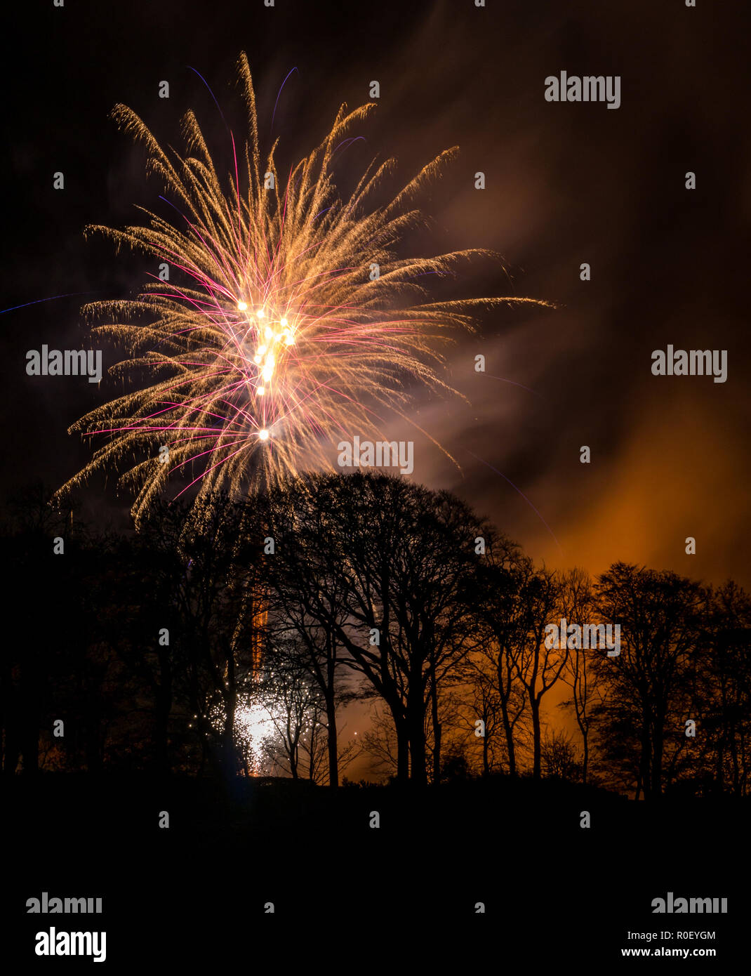 Aberlady, East Lothian, Scotland, United Kingdom. 4th November 2018 ...