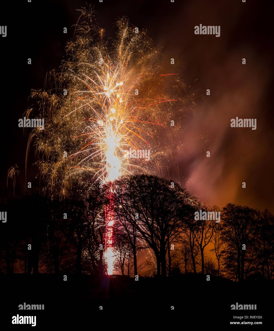 Aberlady, East Lothian, Scotland, United Kingdom. 4th November 2018 ...