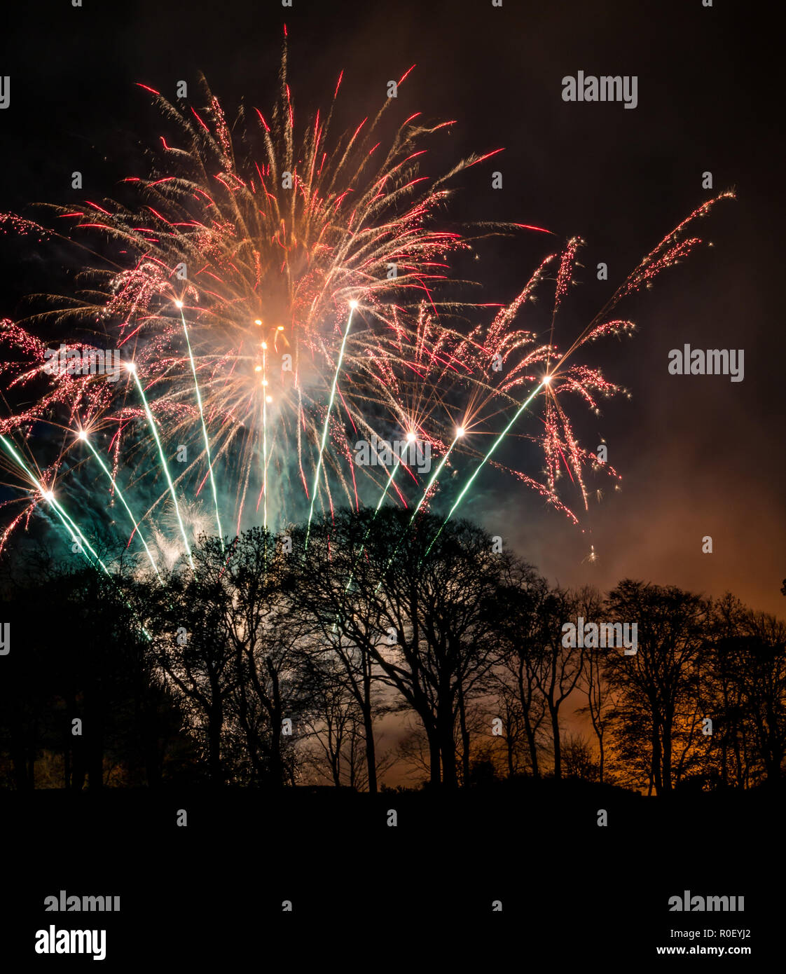 Aberlady, East Lothian, Scotland, United Kingdom. 4th November 2018 ...