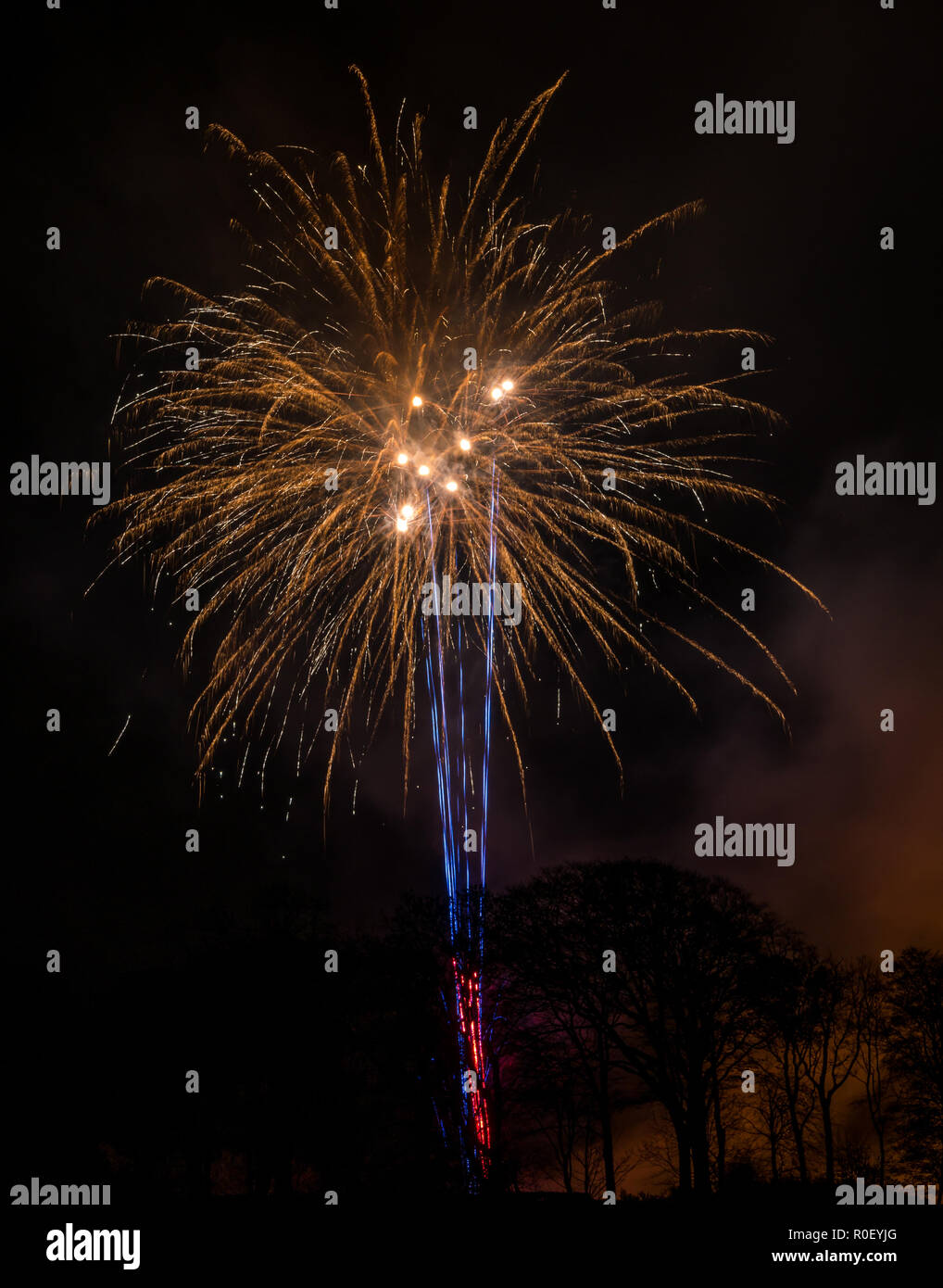 Aberlady, East Lothian, Scotland, United Kingdom. 4th November 2018 ...