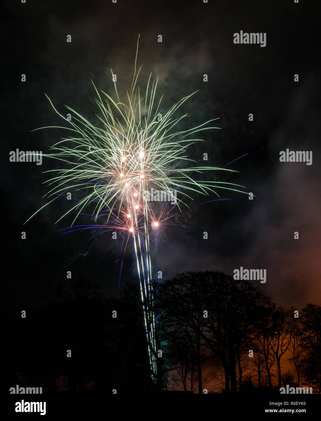 Aberlady, East Lothian, Scotland, United Kingdom. 4th November 2018 ...