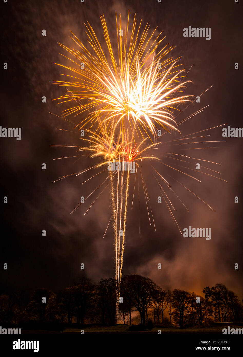 Aberlady, East Lothian, Scotland, United Kingdom. 4th November 2018 ...