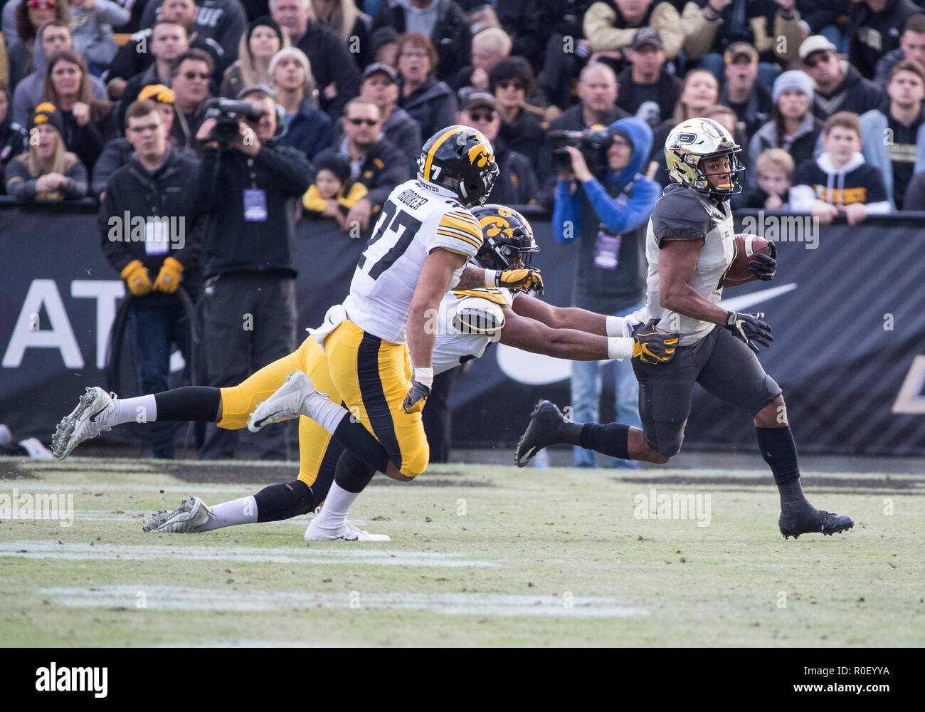 West Lafayette, Indiana, USA. 03rd Nov, 2018. Purdue wide receiver ...