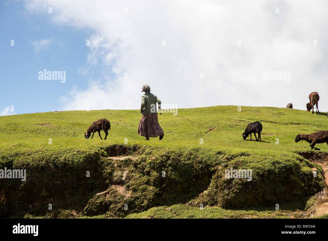 Gamo zone hi-res stock photography and images - Alamy