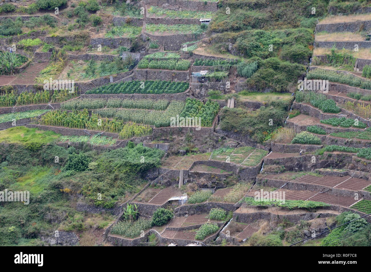 Terraced landscape near Jardim da Serra, Madeira Stock Photo - Alamy
