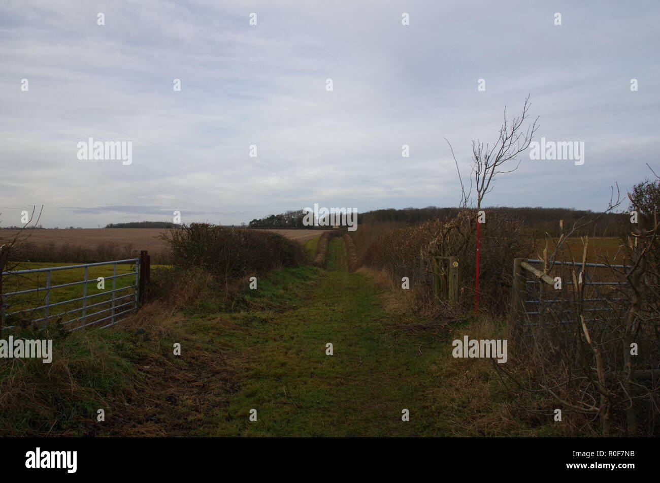 The Macmillan Way. Lincolnshire. East Midlands. England. UK Stock Photo ...