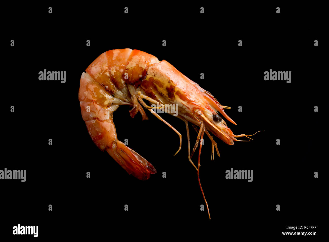 A single fried, cooked tiger prawn imported into the UK from Madagascar ...