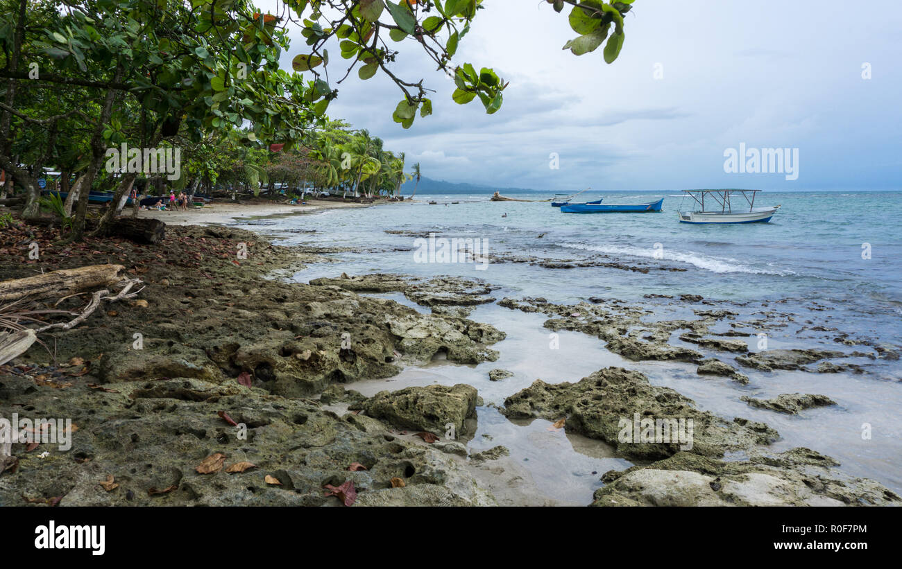 Interesting formation of rocks and corals (Reef) at Puerto Viejo, Costa ...
