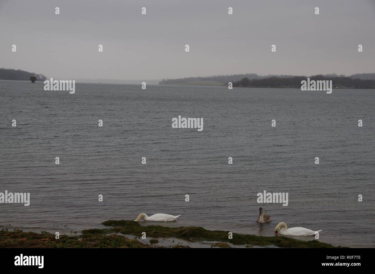 Rutland Water reservoir. The Macmillan Way. Rutland. East Midlands ...