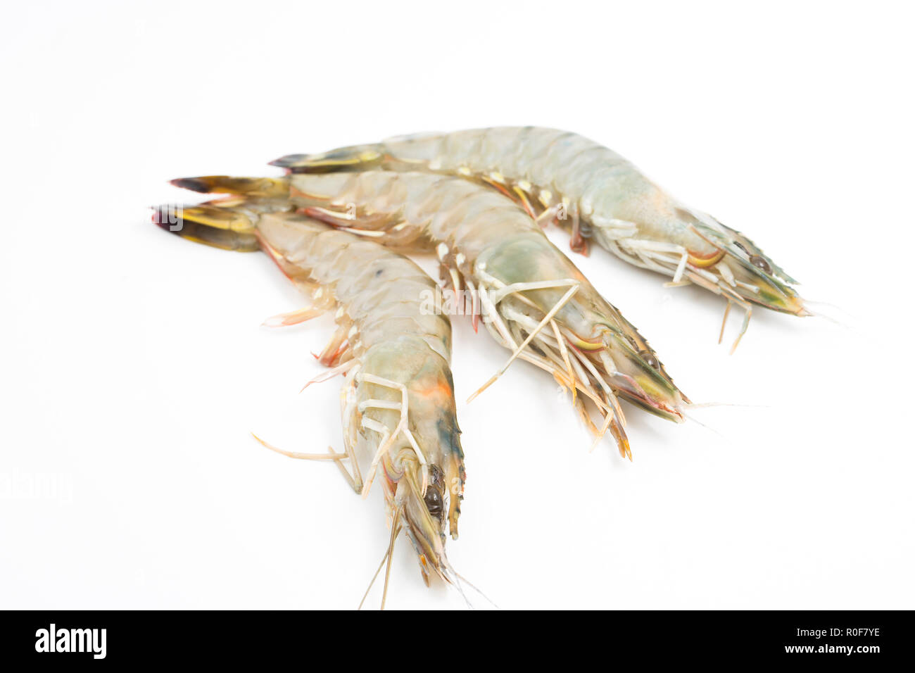 Tiger prawns supermarket uk hi-res stock photography and images - Alamy