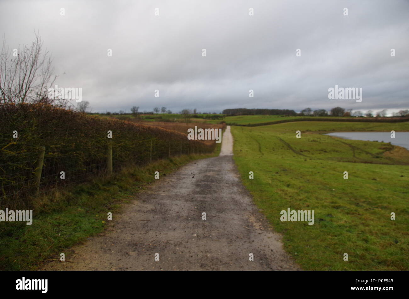 Rutland Water reservoir. The Macmillan Way. Rutland. East Midlands ...
