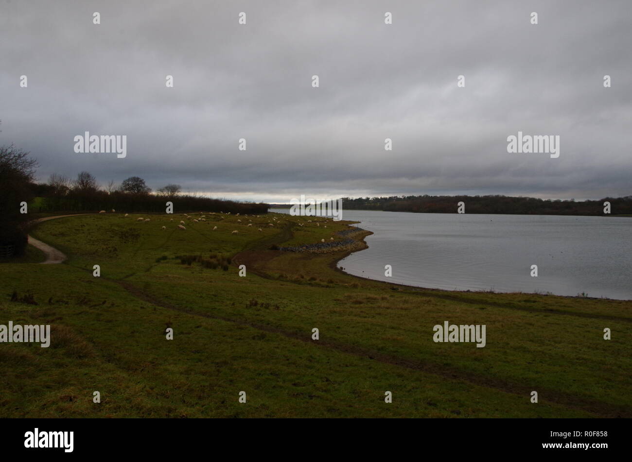 Rutland Water reservoir. The Macmillan Way. Rutland. East Midlands ...
