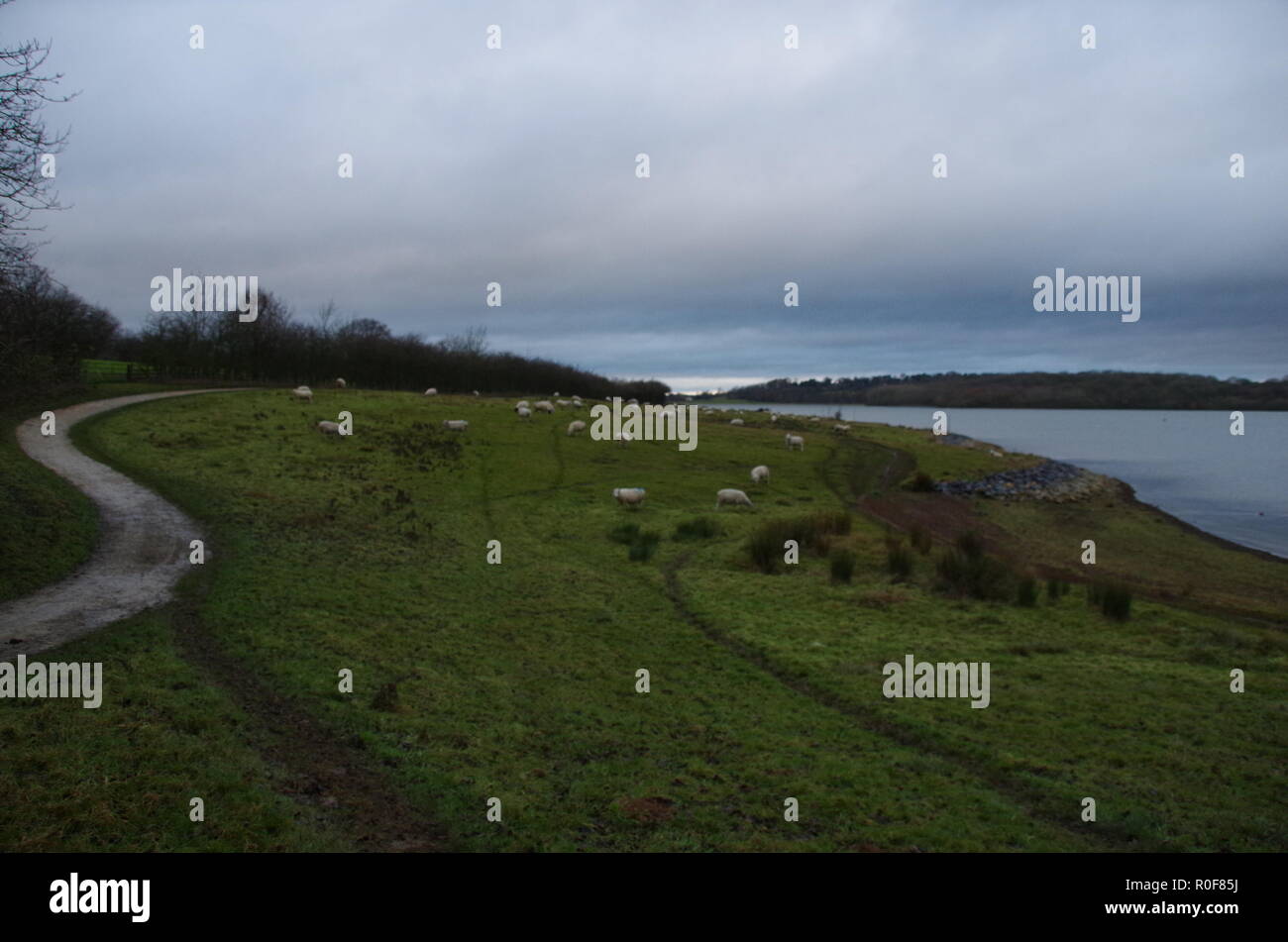 Rutland Water reservoir. The Macmillan Way. Rutland. East Midlands ...