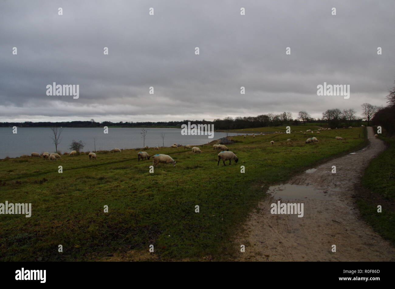 Rutland Water reservoir. The Macmillan Way. Rutland. East Midlands ...