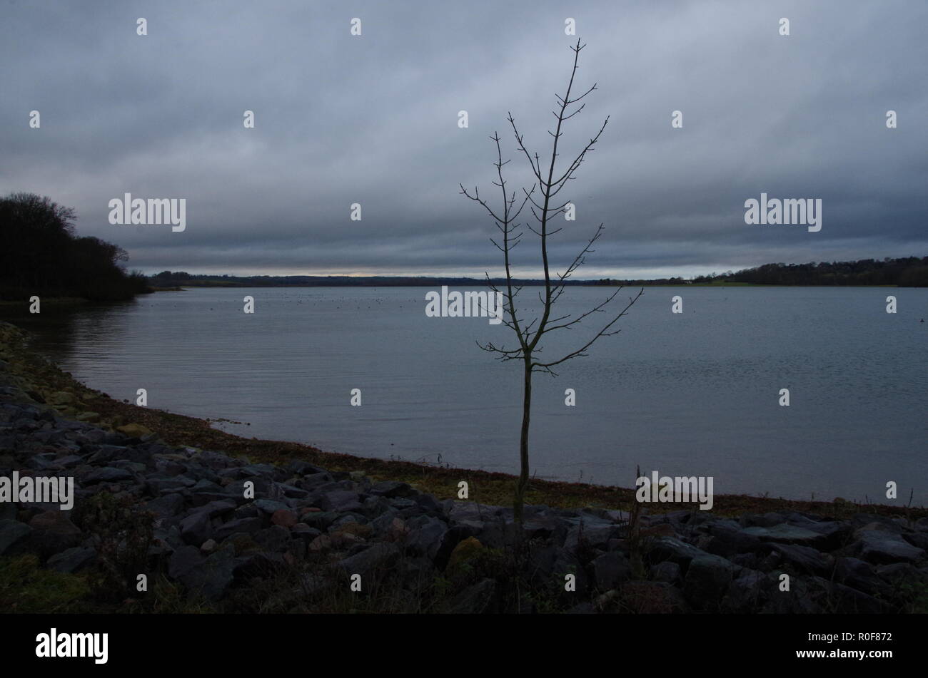 Rutland Water reservoir. The Macmillan Way. Rutland. East Midlands ...