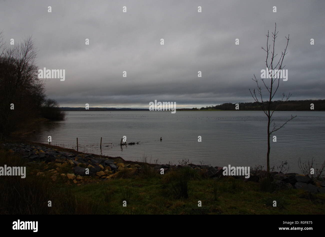 Rutland Water reservoir. The Macmillan Way. Rutland. East Midlands ...