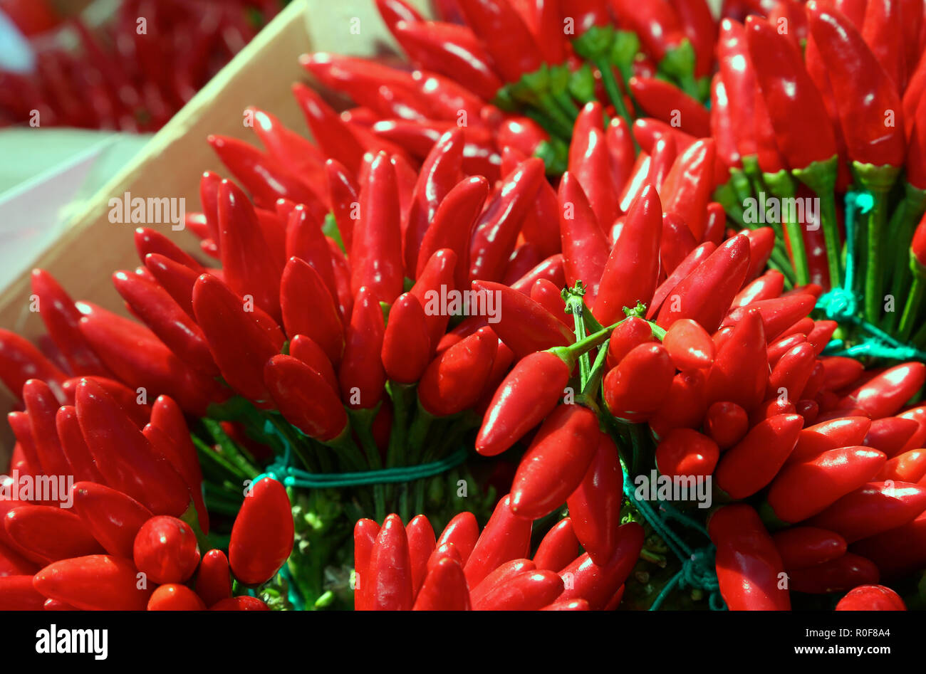 Bunches red peppers hi-res stock photography and images - Alamy