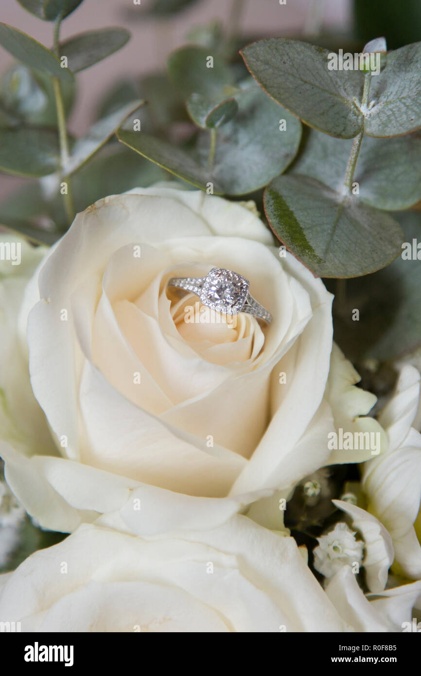 Engagement ring display hi-res stock photography and images - Alamy