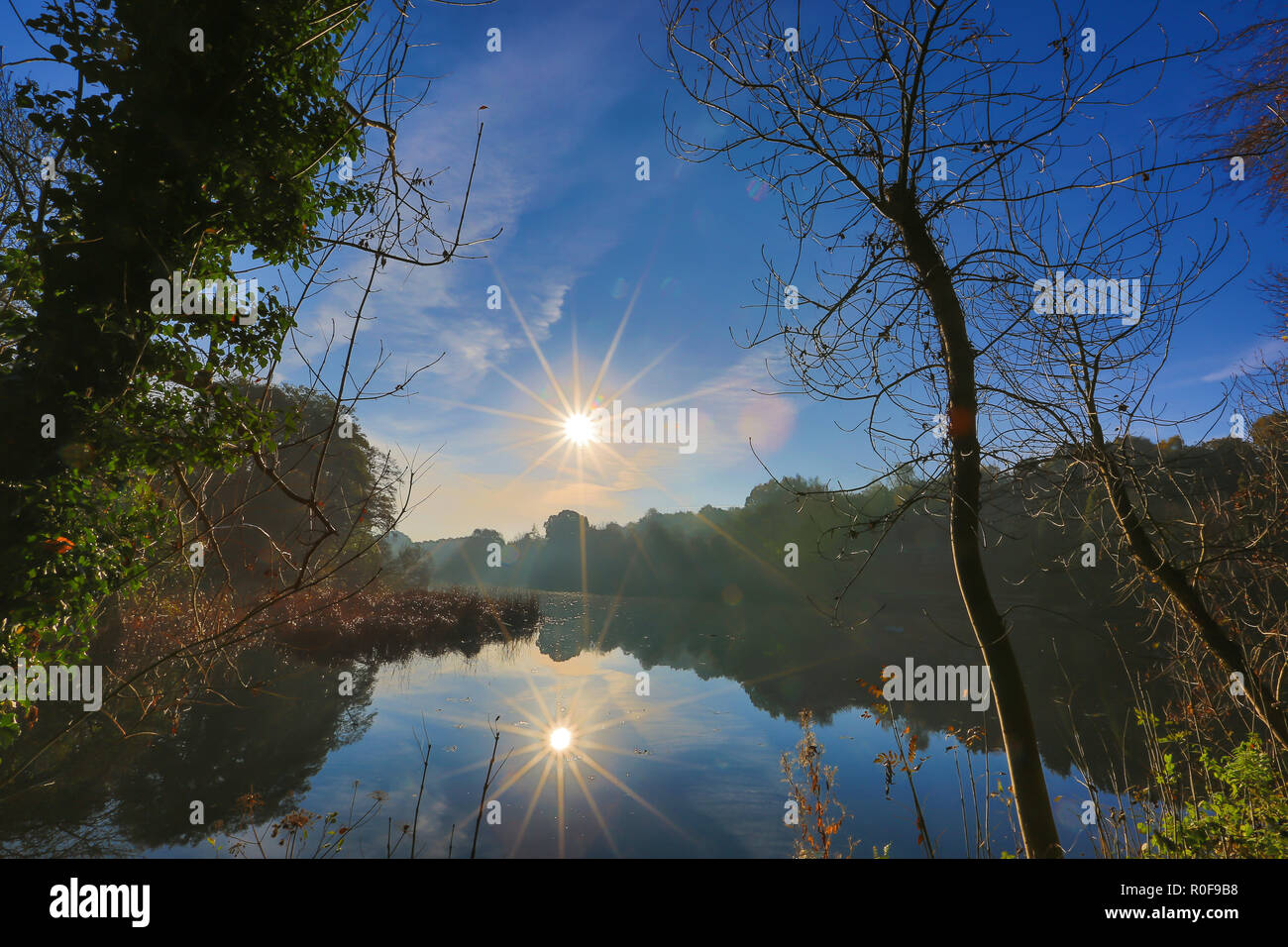 Dazzling Effect High Resolution Stock Photography and Images - Alamy