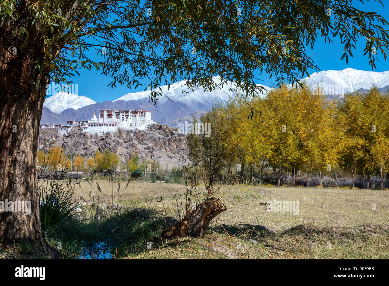 Stakna Monastery or Stakna Gompa, Ladakh, India Stock Photo - Alamy