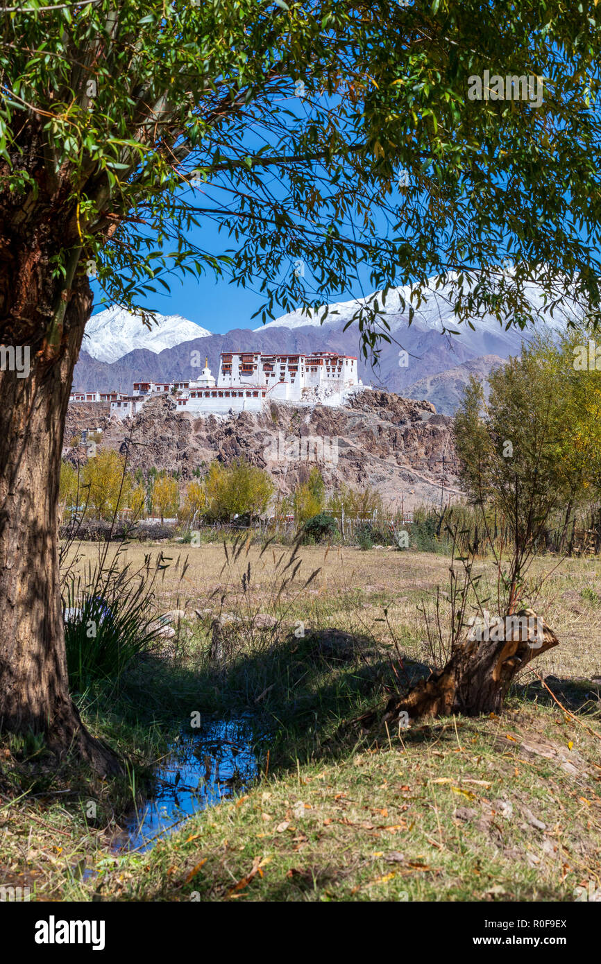 Stakna Monastery or Stakna Gompa, Ladakh, India Stock Photo - Alamy