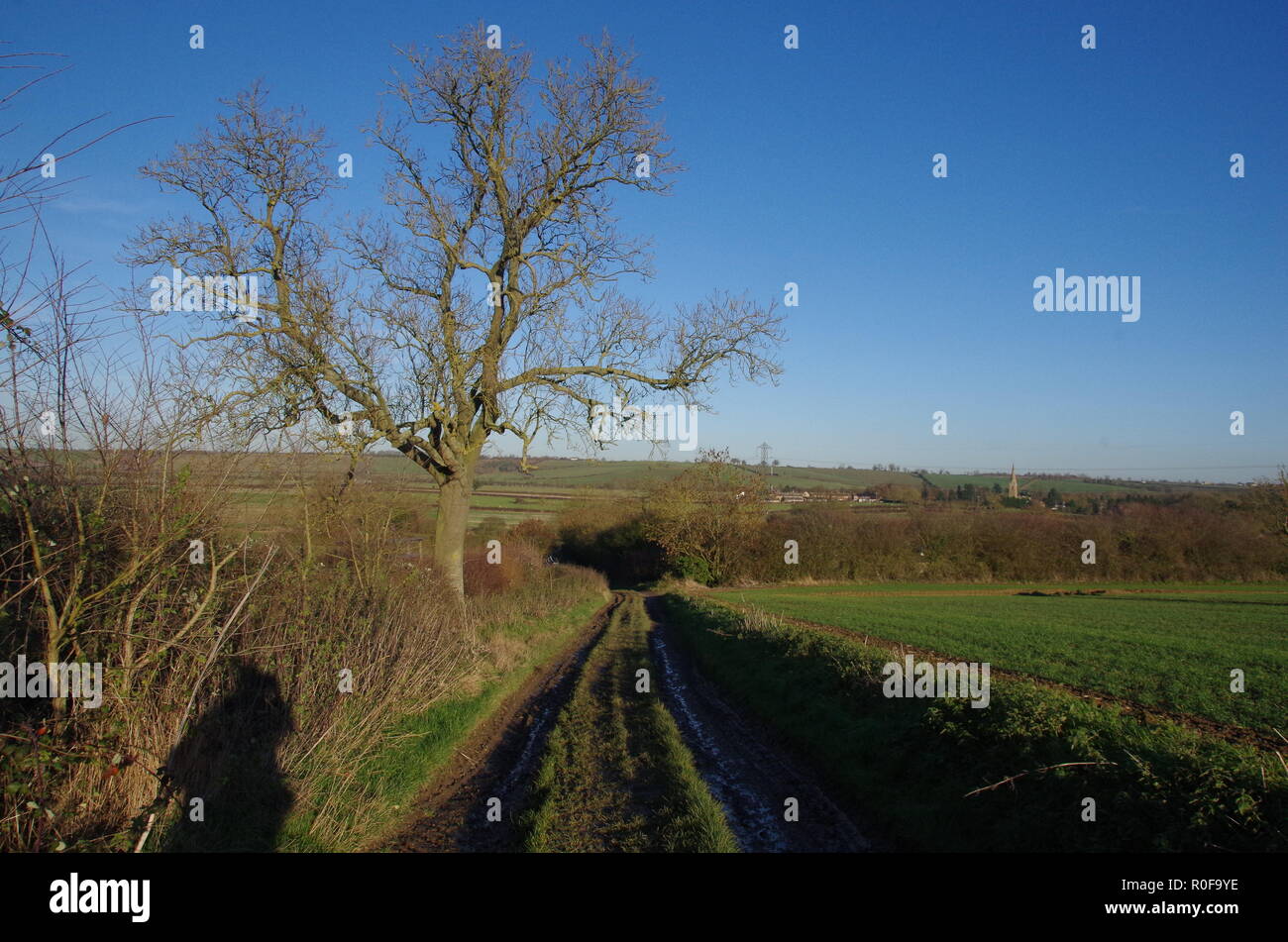 The Macmillan Way. Lincolnshire. East Midlands. England. UK Stock Photo ...