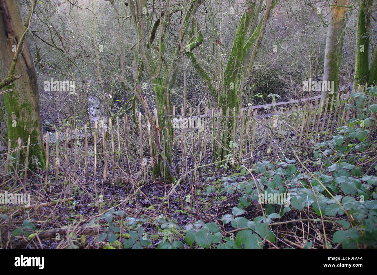 Oxendon Tunnel disused railway tunnel. The Macmillan Way. The Brampton ...
