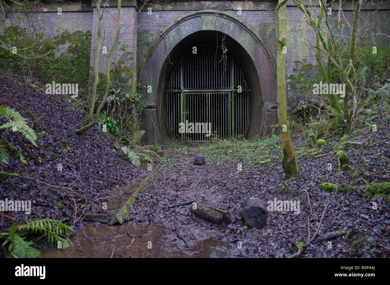 Oxendon Stock Photos & Oxendon Stock Images - Alamy