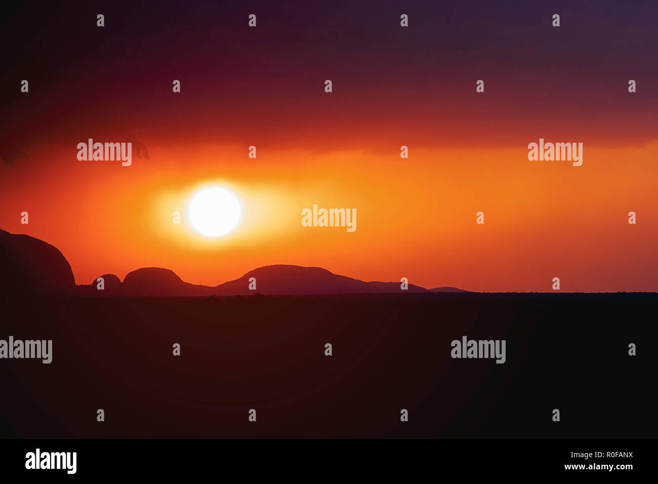 Uluru fauna hi-res stock photography and images - Alamy