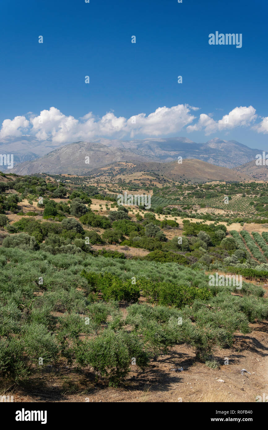 Phaestus bronze age archaeological site antiquity kriti crete cr hi-res ...