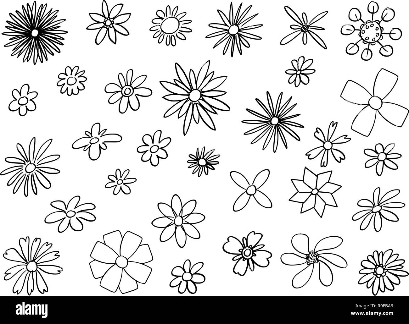 Vector Sketch Drawing Illustration of Set of Flowers in Bloom Stock ...